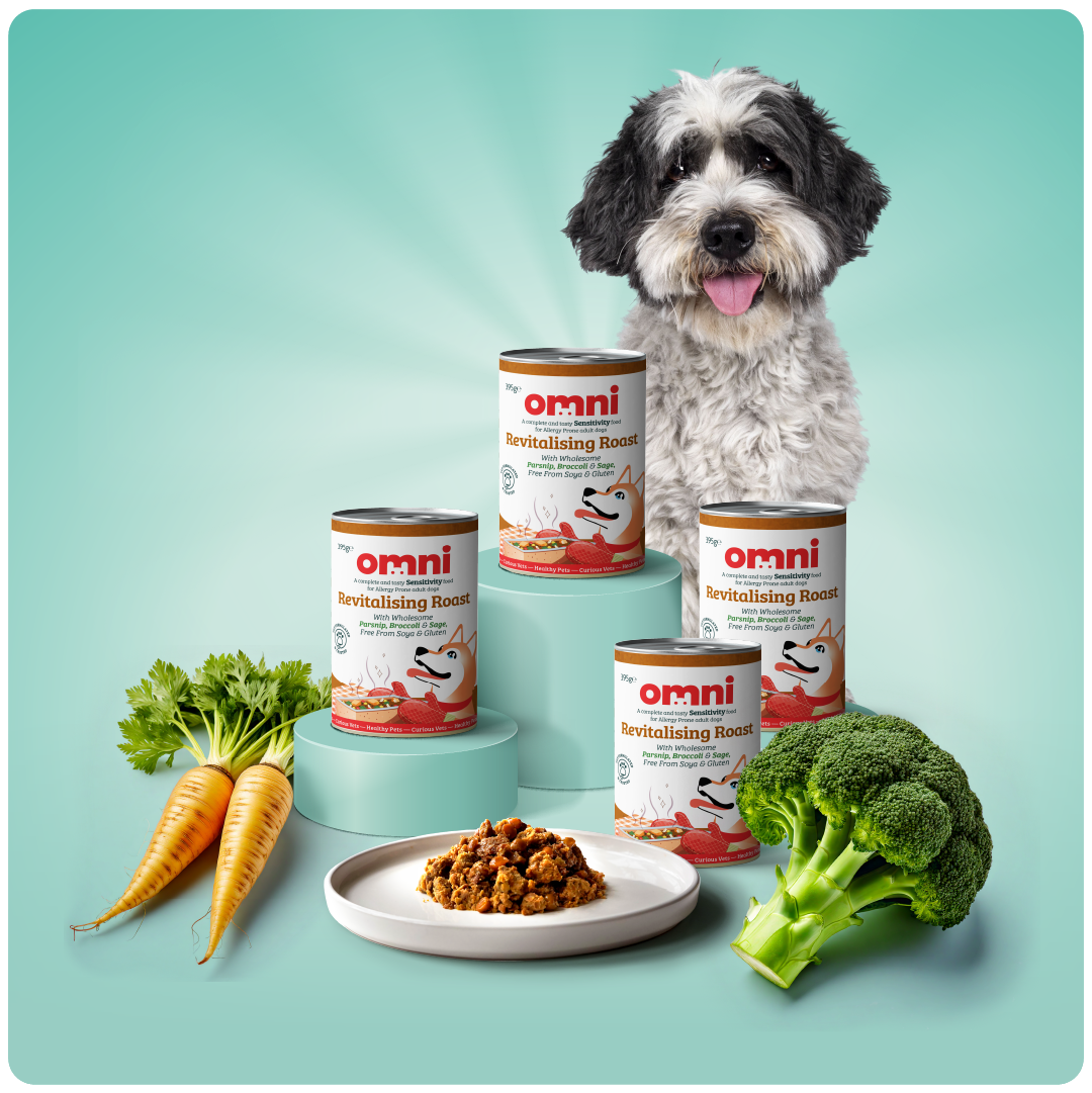 Healthy Wet Dog Food & Trays | Tinned Meals for Dogs by Omni – Omni Pet ...